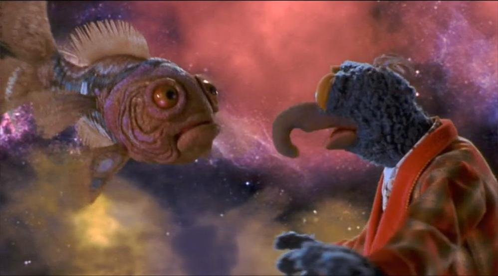 Look at Your Fish • Buttondown