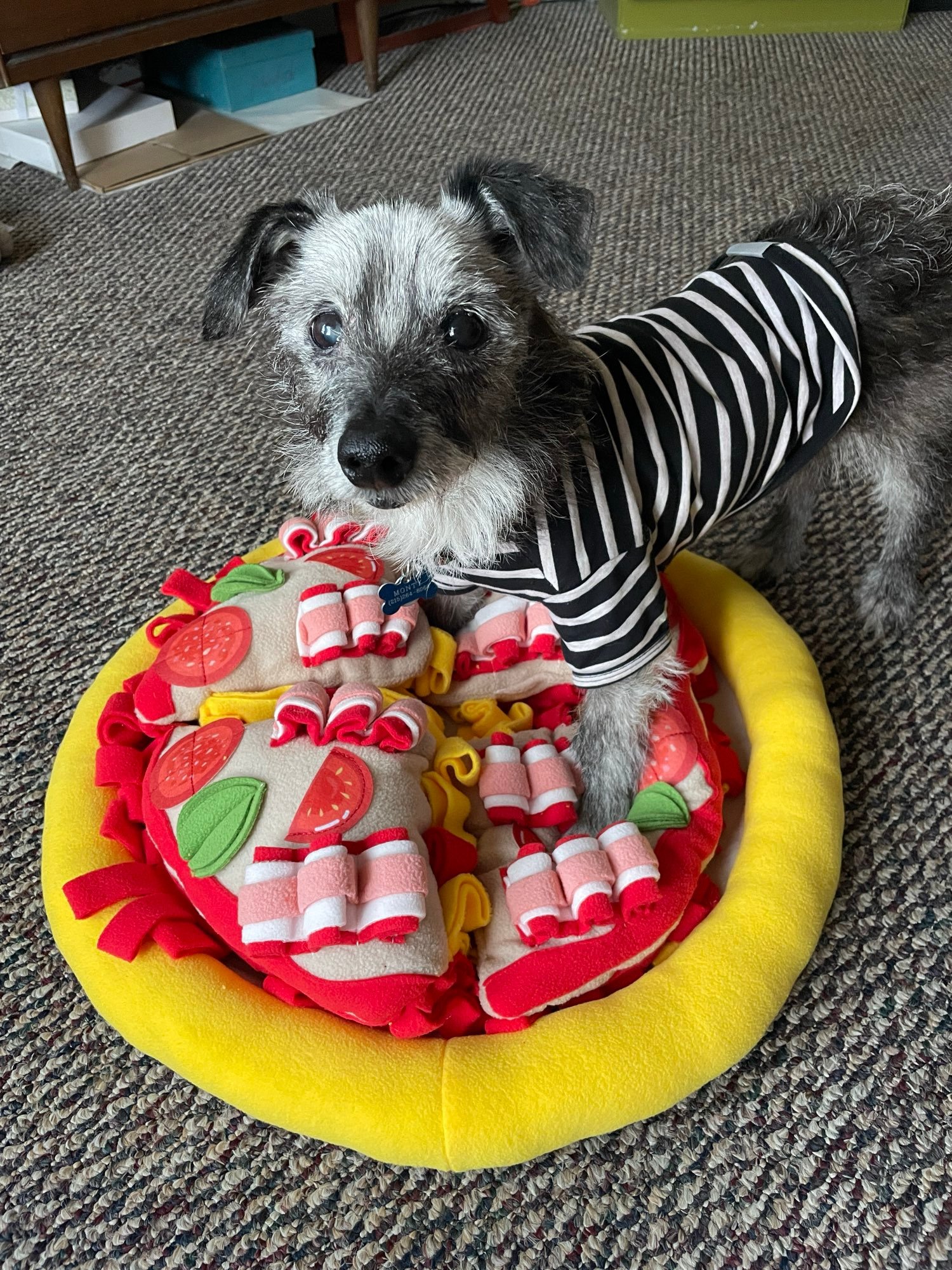 Philly Concert Picks: 4/24–4/30 • Buttondown