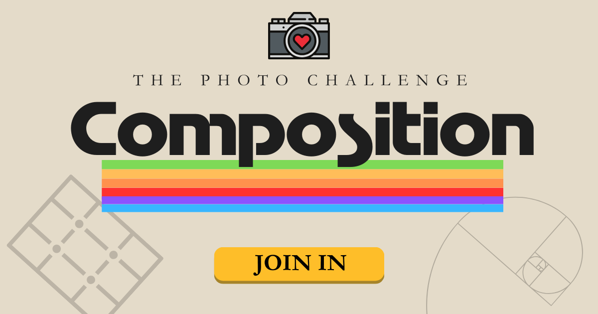 The Photo Composition Challenge • Buttondown