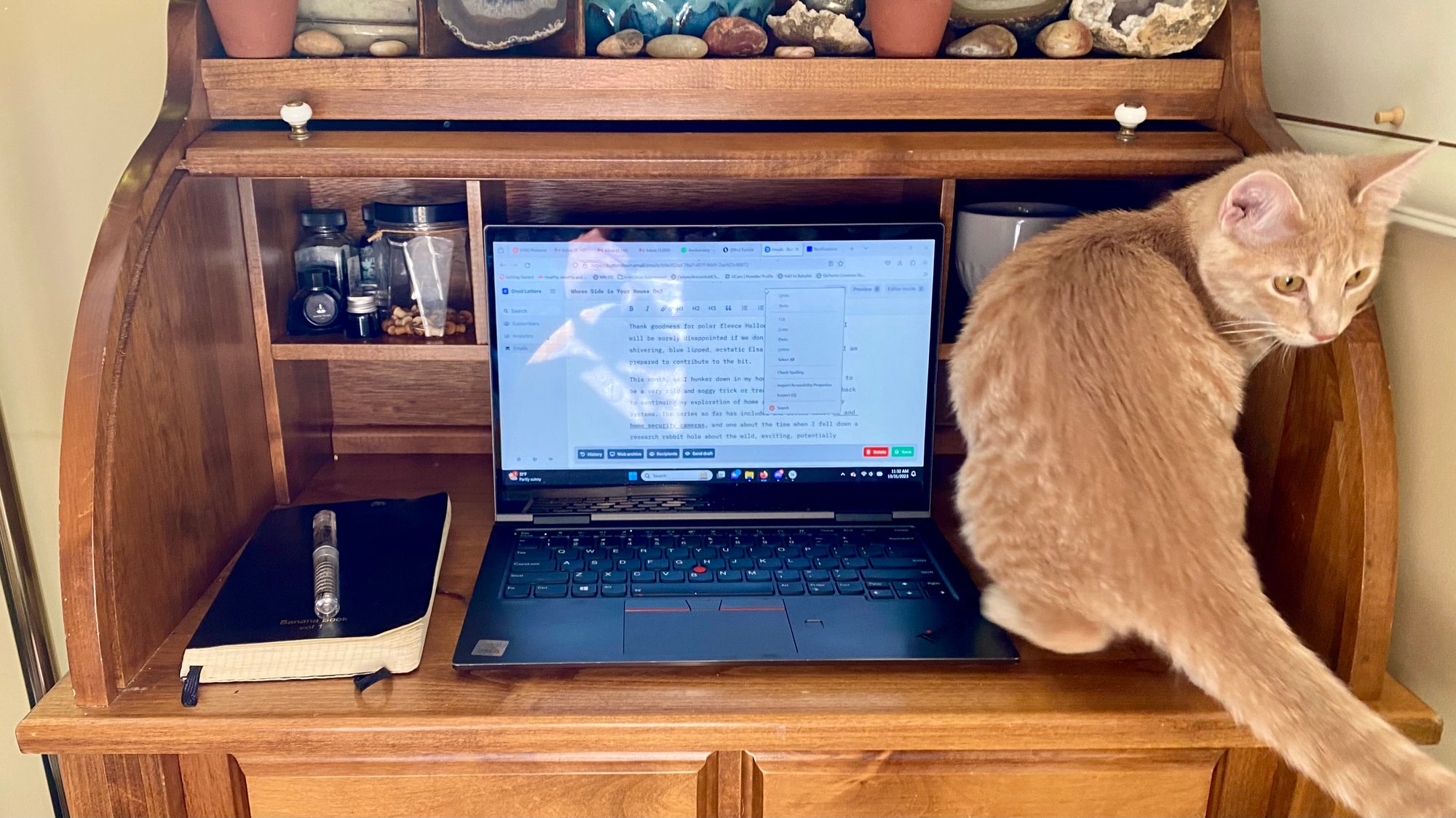 Archive • Shed Letters • Buttondown