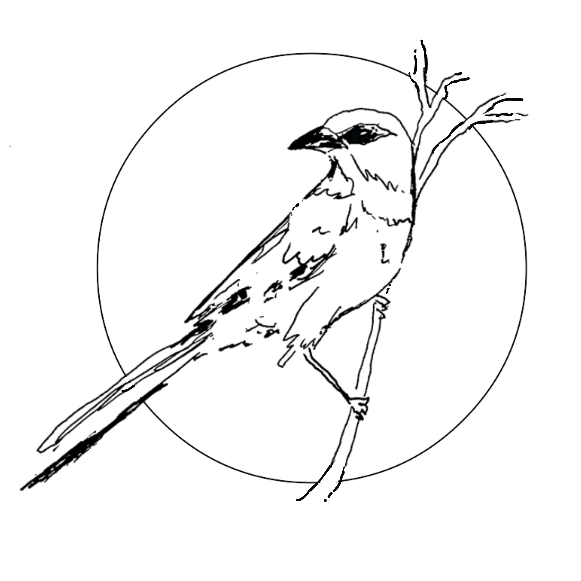 Scrub Jay Press • Buttondown