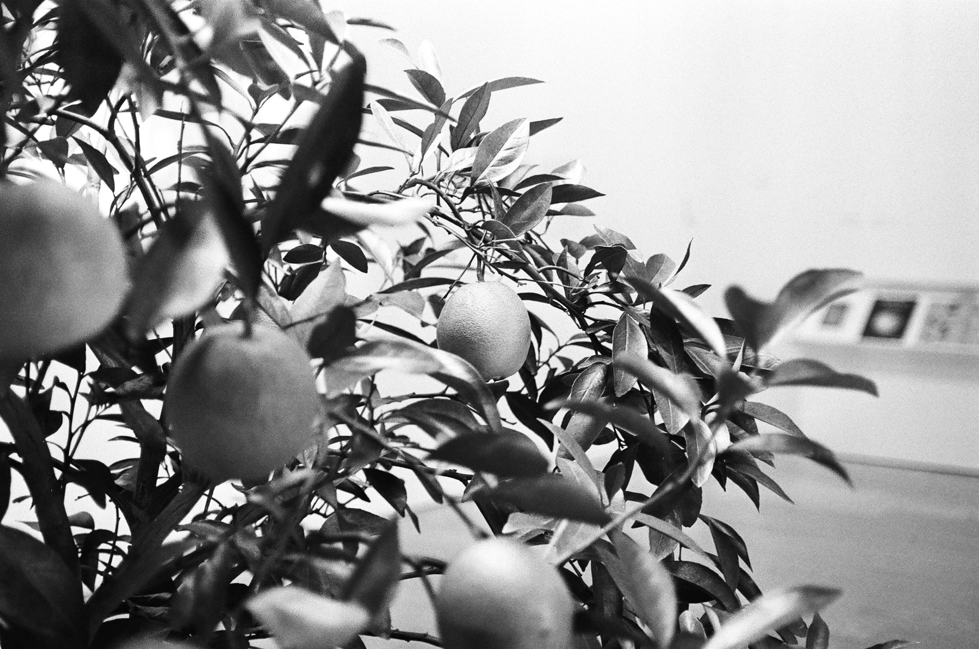 Archive • Ghost Down • Buttondown