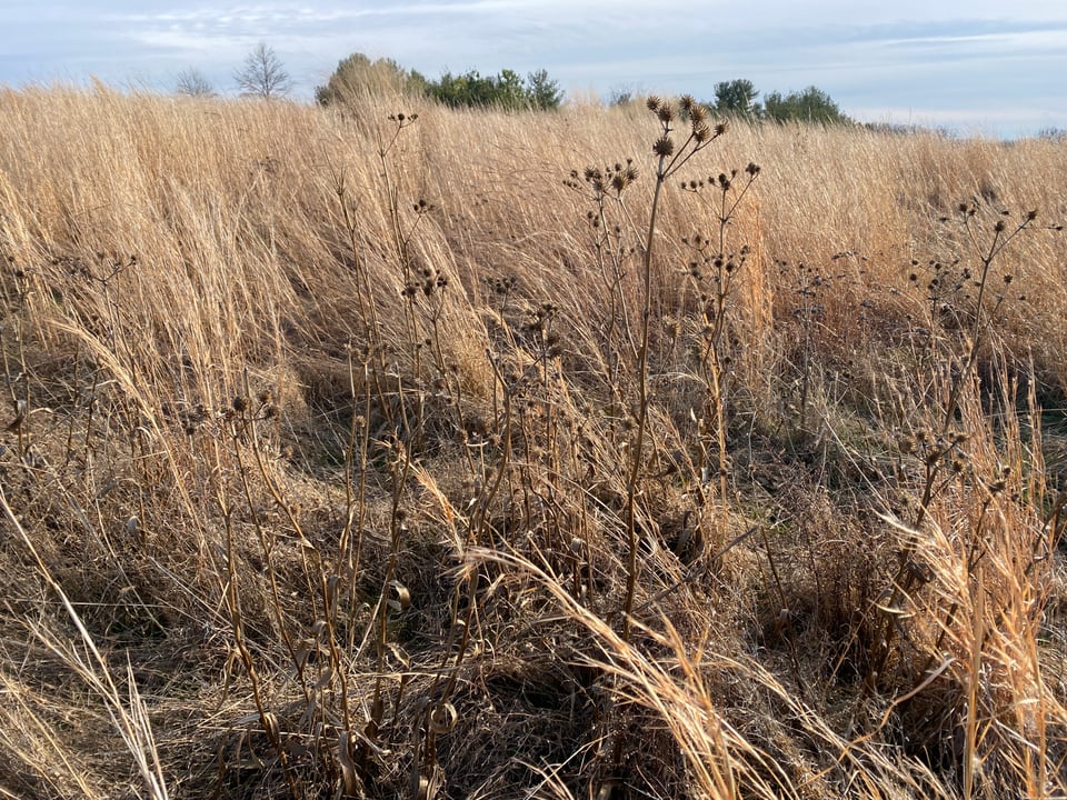 bad crochet and worse men • Buttondown